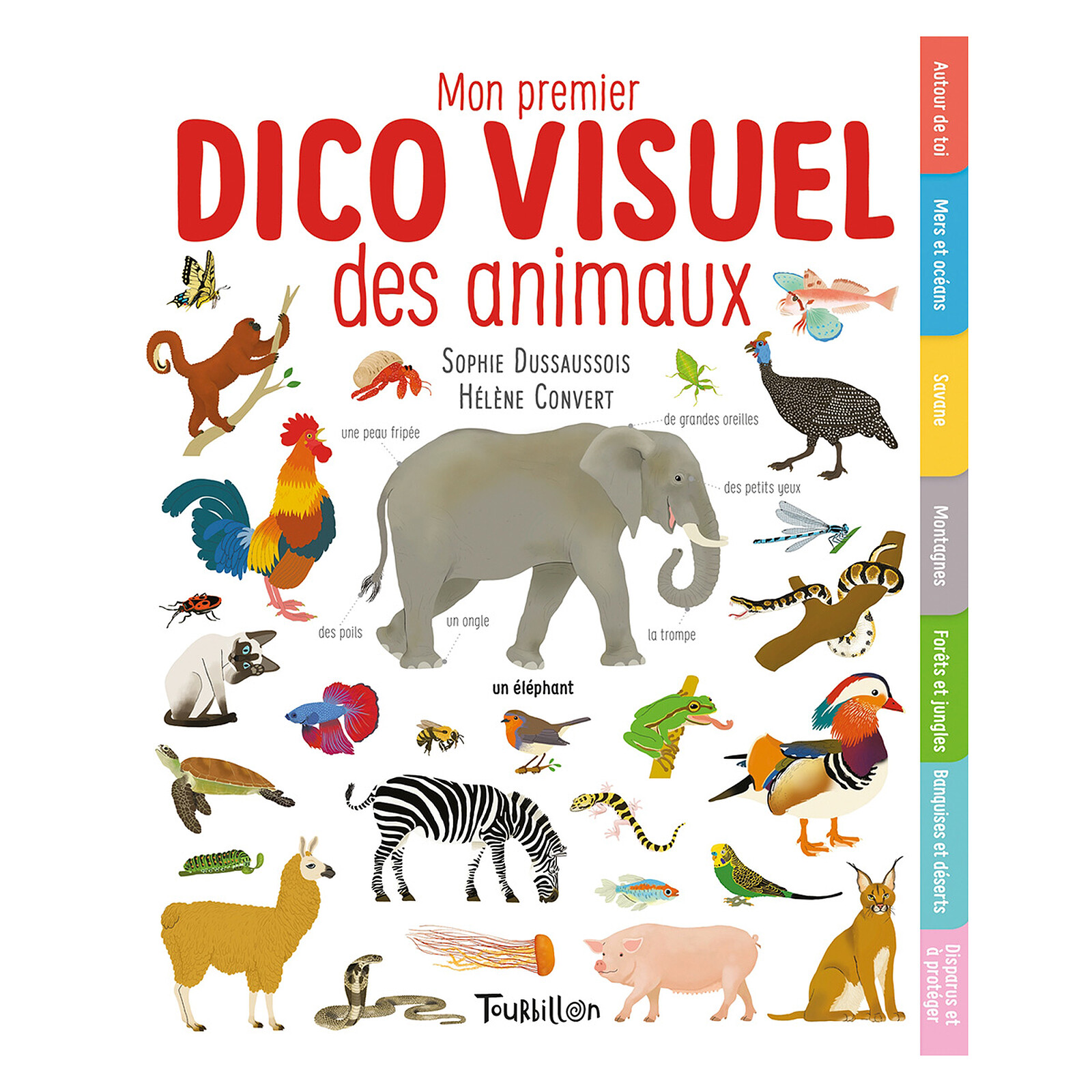 Tourbillon Mon Premier Dico Visuel des Animaux - Livres - L'Armoire de Bébé